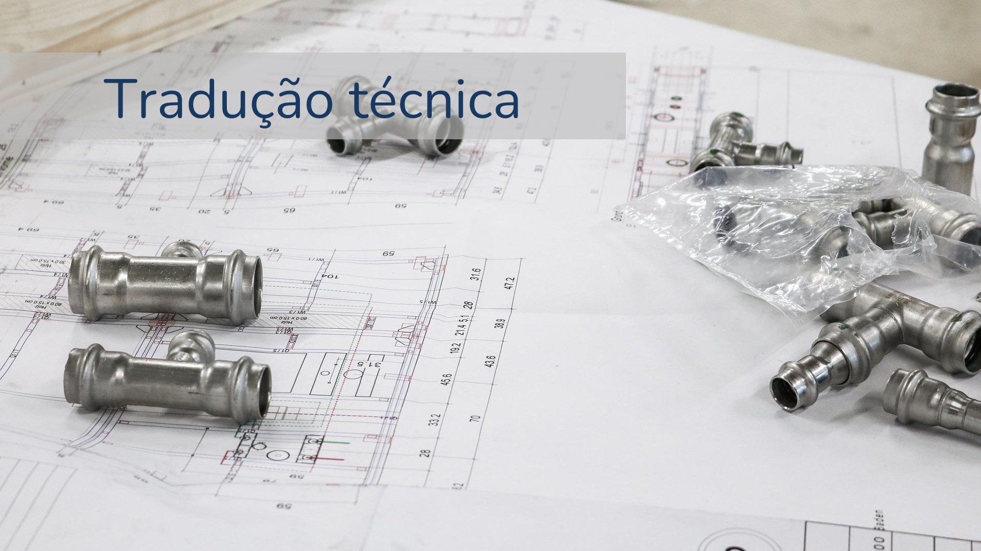 intoWords Translation Services